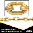 Grade 70 1/2" x 20' Chain and Binder Kit | US Cargo Control