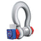 Straightpoint® 3.25 T Wireless Load Shackle - WLS3.25T